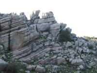 Limestone: Formation, Types, Composition, and Uses