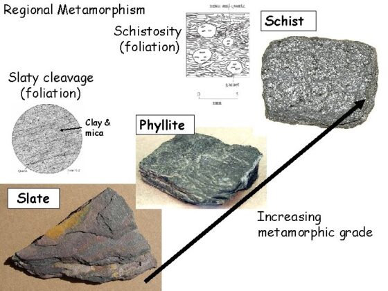 Phyllite Rock: Formation, Properties, and Metamorphic Grade