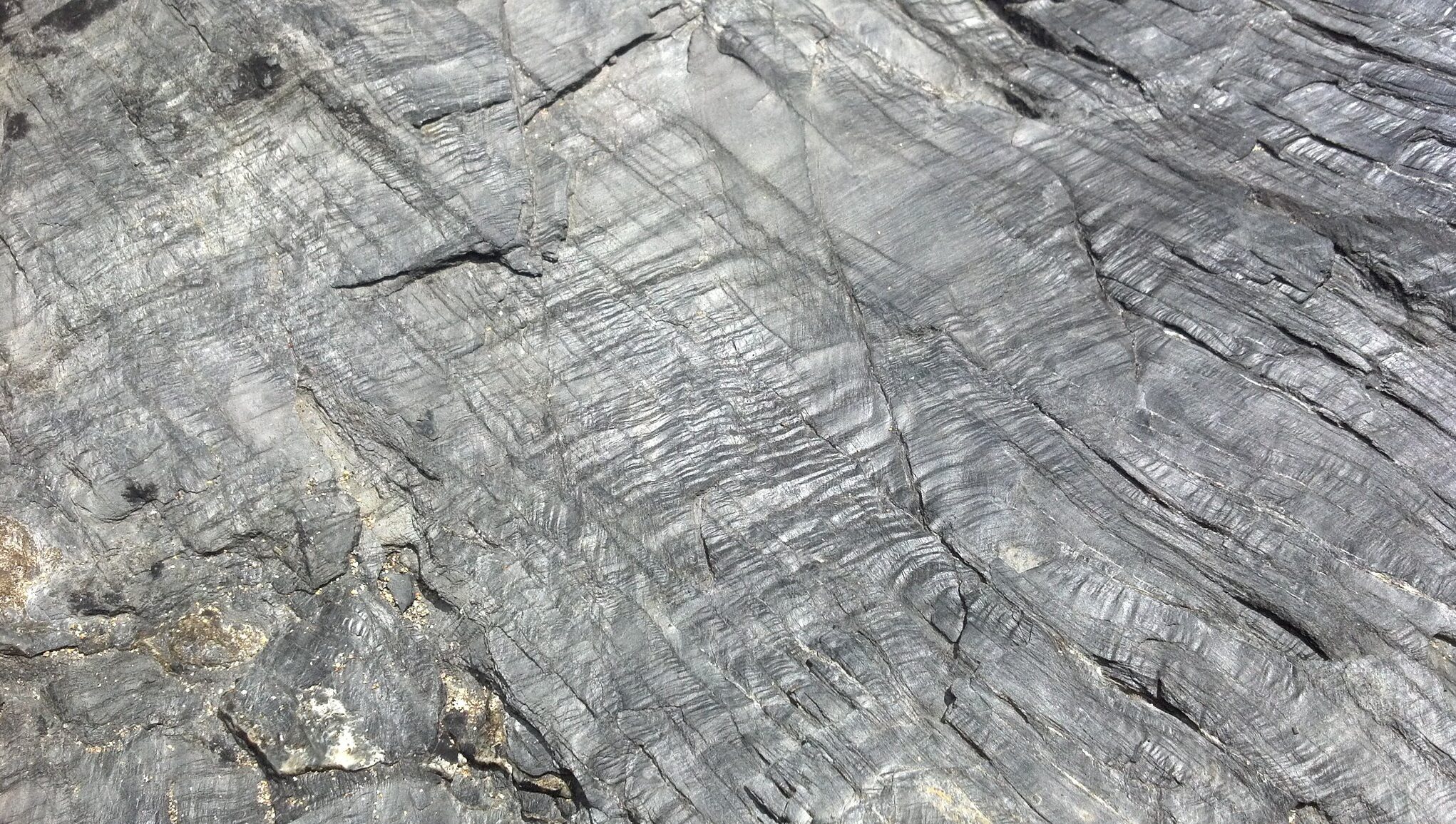 Phyllite Rock: Formation, Properties, and Metamorphic Grade
