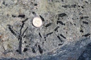 Amphibole Group Minerals | Properties and Occurrence