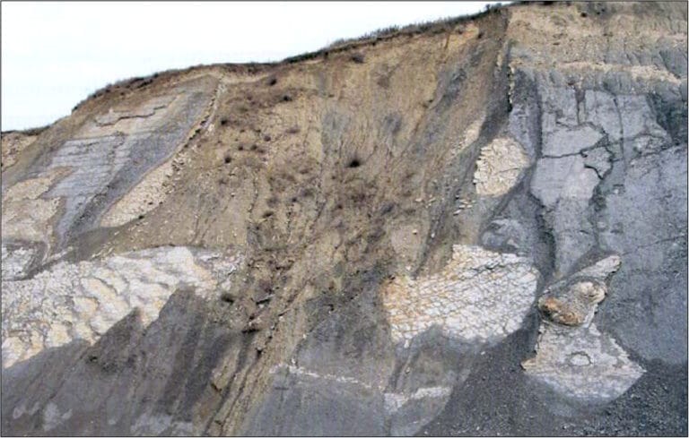 Marne | Propriétés, composition, formation, utilisations - Géologie