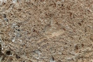 Pumice: Formation, Properties, Uses, and Why It’s So Lightweight