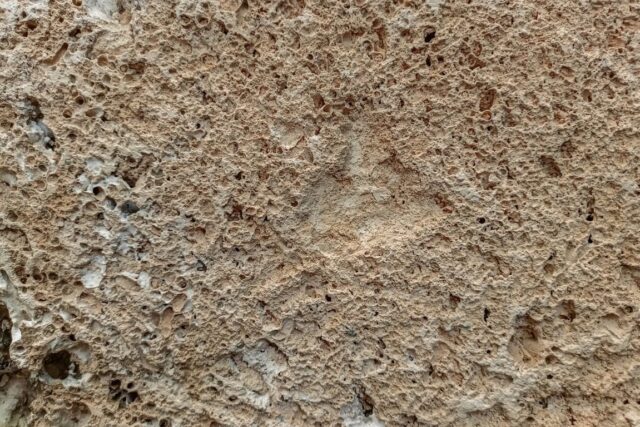 Pumice: Formation, Properties, Uses, and Why It’s So Lightweight