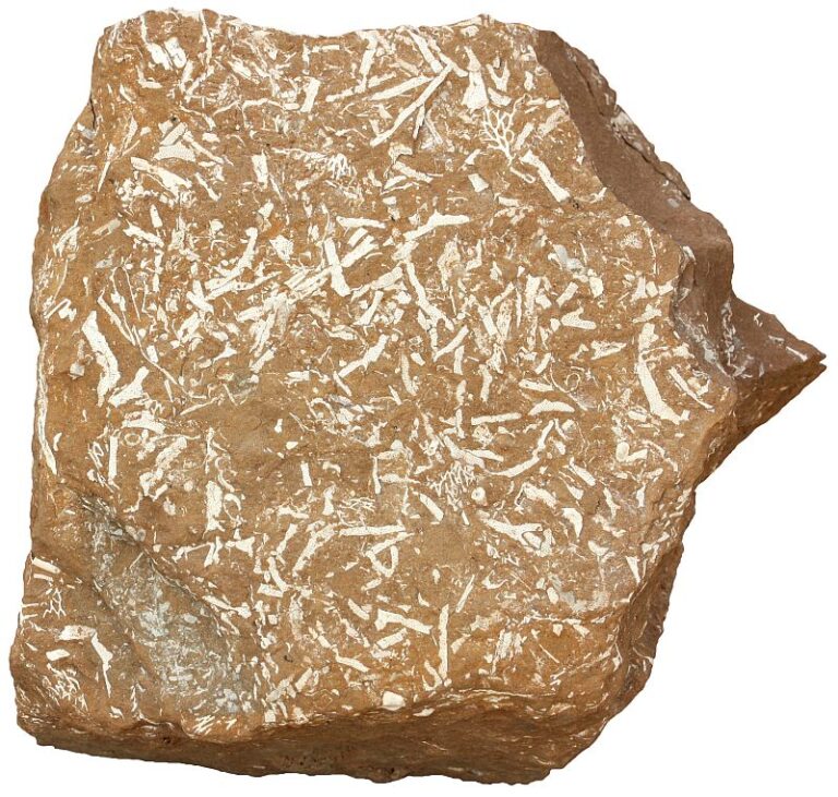 Oil Shale: Formation, Properties, Kerogen, and Uses
