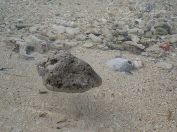 Pumice Rock – Formation, Vesicular Texture, Properties & Uses