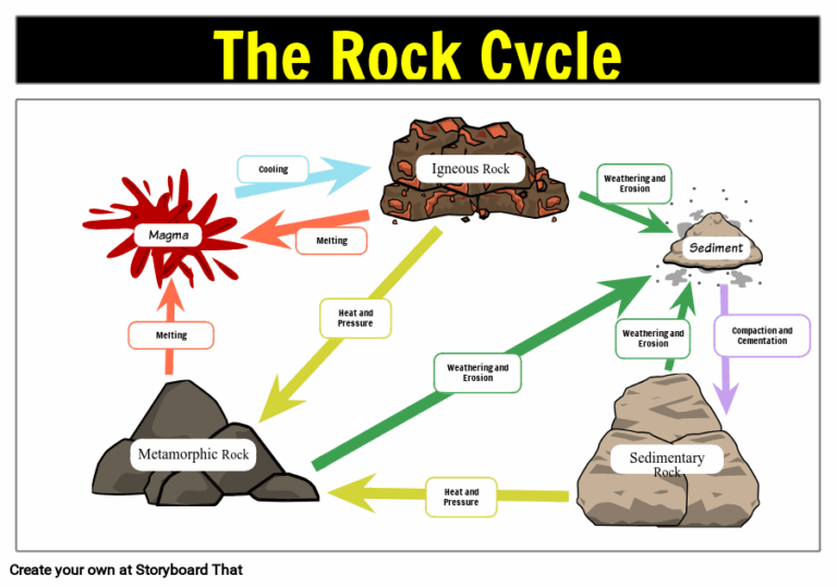 Le cycle des roches : processus, étapes et exemples concrets