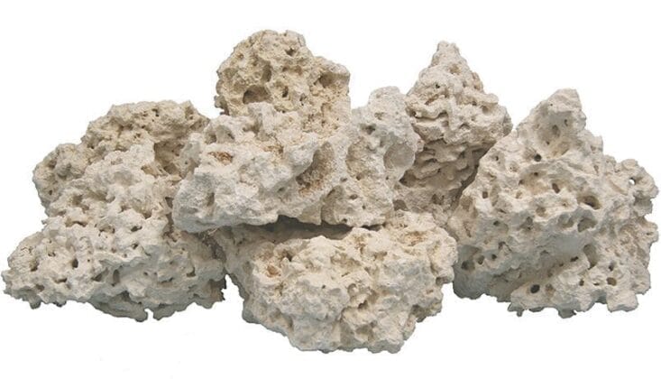 Coral Mineral, Gemstone | Geology, Properties, Formation