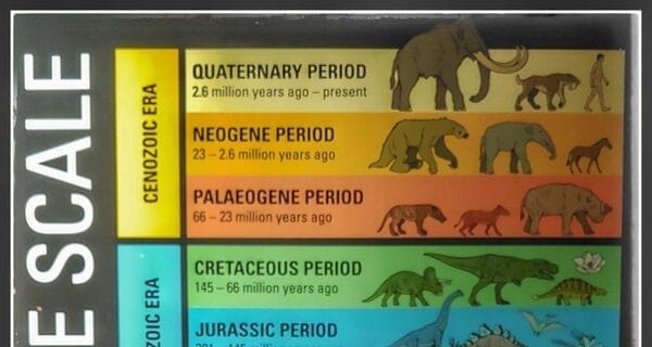 Paleontology | Fossils, Evolution, Ancient Life & Earth’s Deep History