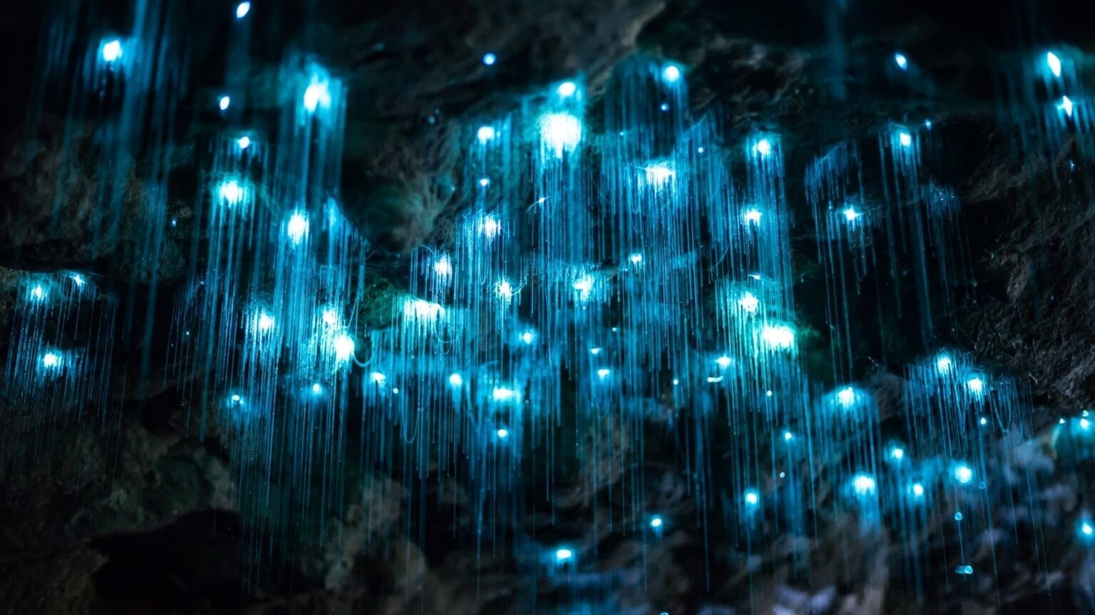 Waitomo Glowworm Caves, New Zealand - Geology Science