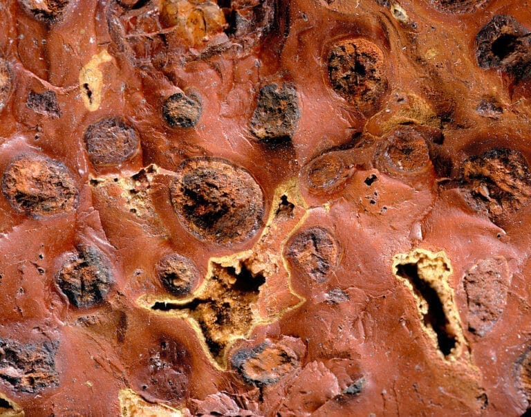 Bauxite | Properties, Formation, Uses - geologyscience