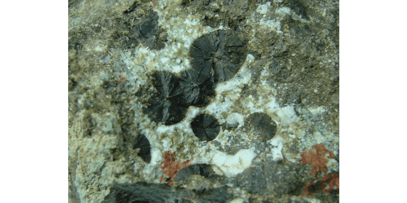 Esmectita | Propiedades, Formación, Usos - Geología