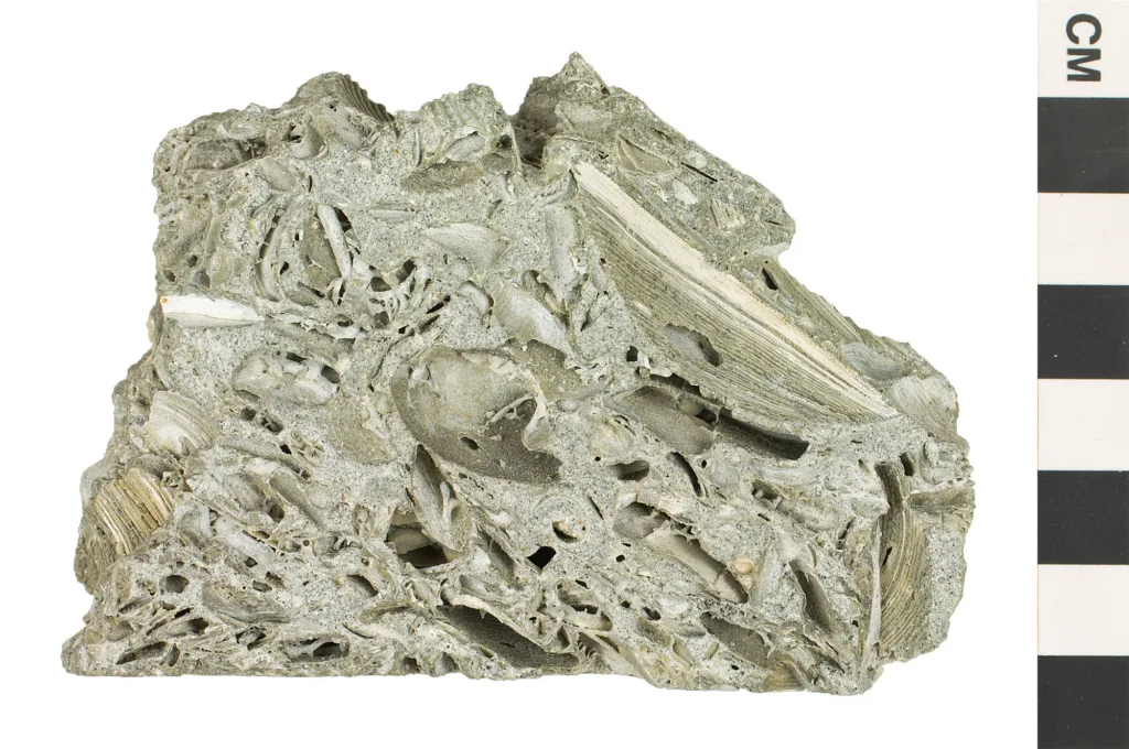 Limestone: Formation, Types, Composition, and Uses