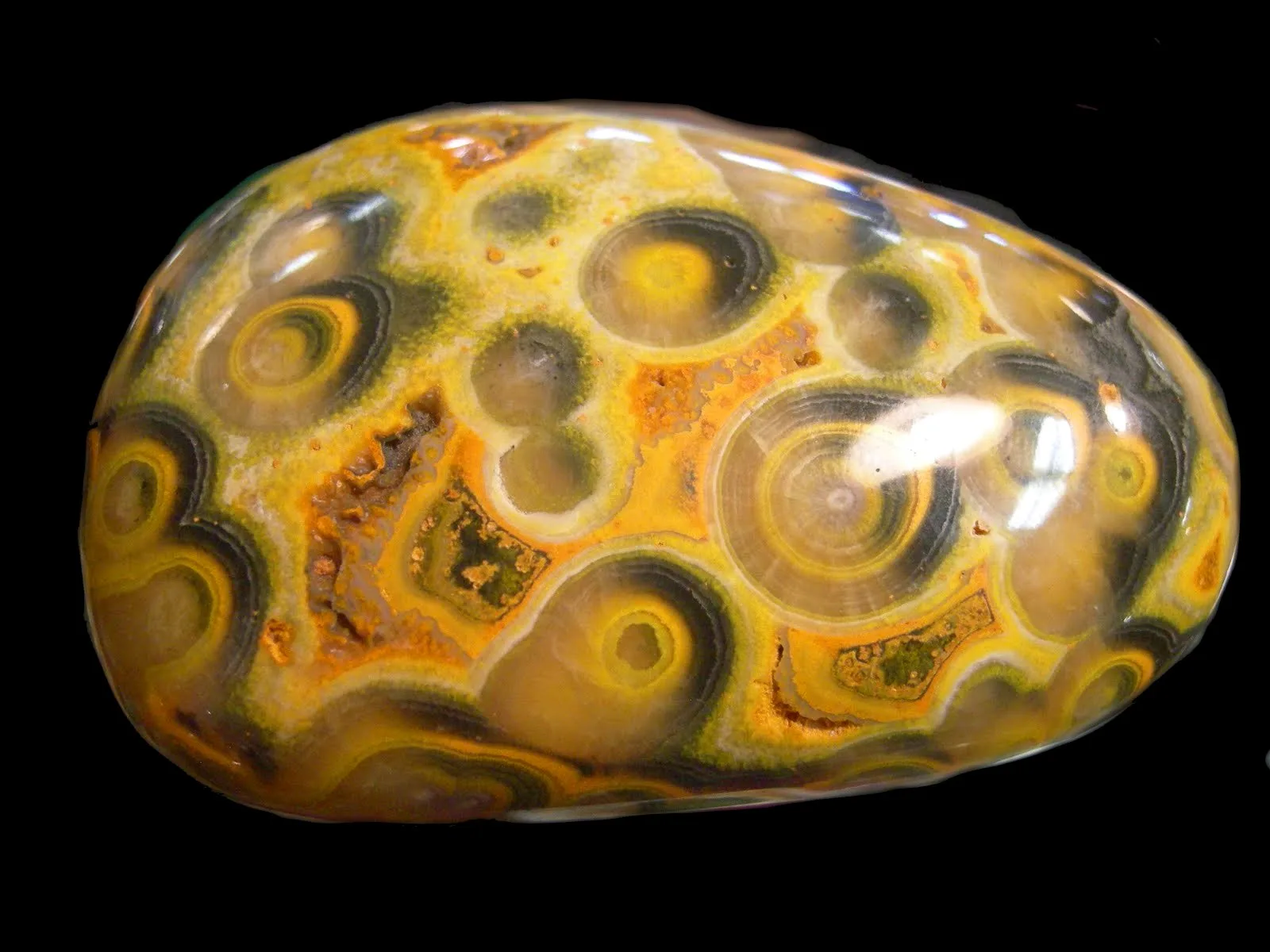Bumble Bee Jasper : Properties, Formation, Locations - Geology Science