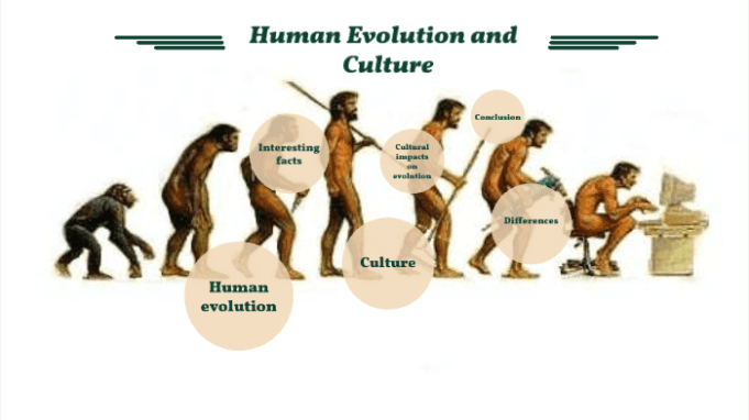 Evolution of Life: Natural Selection, Human Evolution, Extinctions