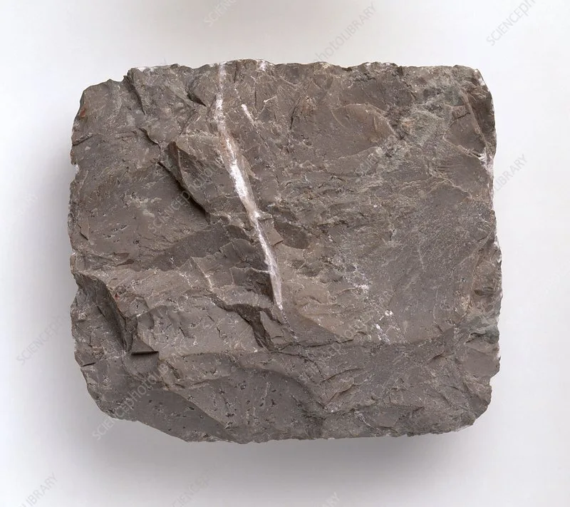 Mudstone : Properties, Compositions, Types » Geology Science