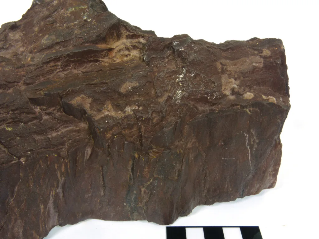 Radiolarite : Formation, Composition, Properties » Geology Science