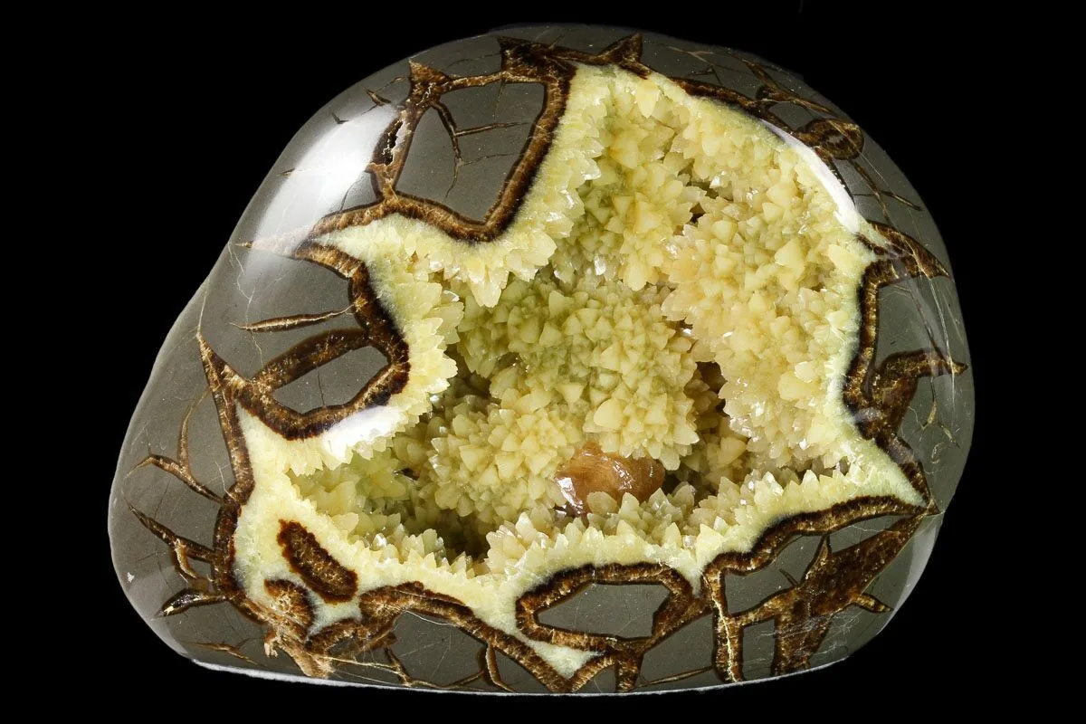 Septarian : Properties, Formation, Composition, Localities - Geology ...