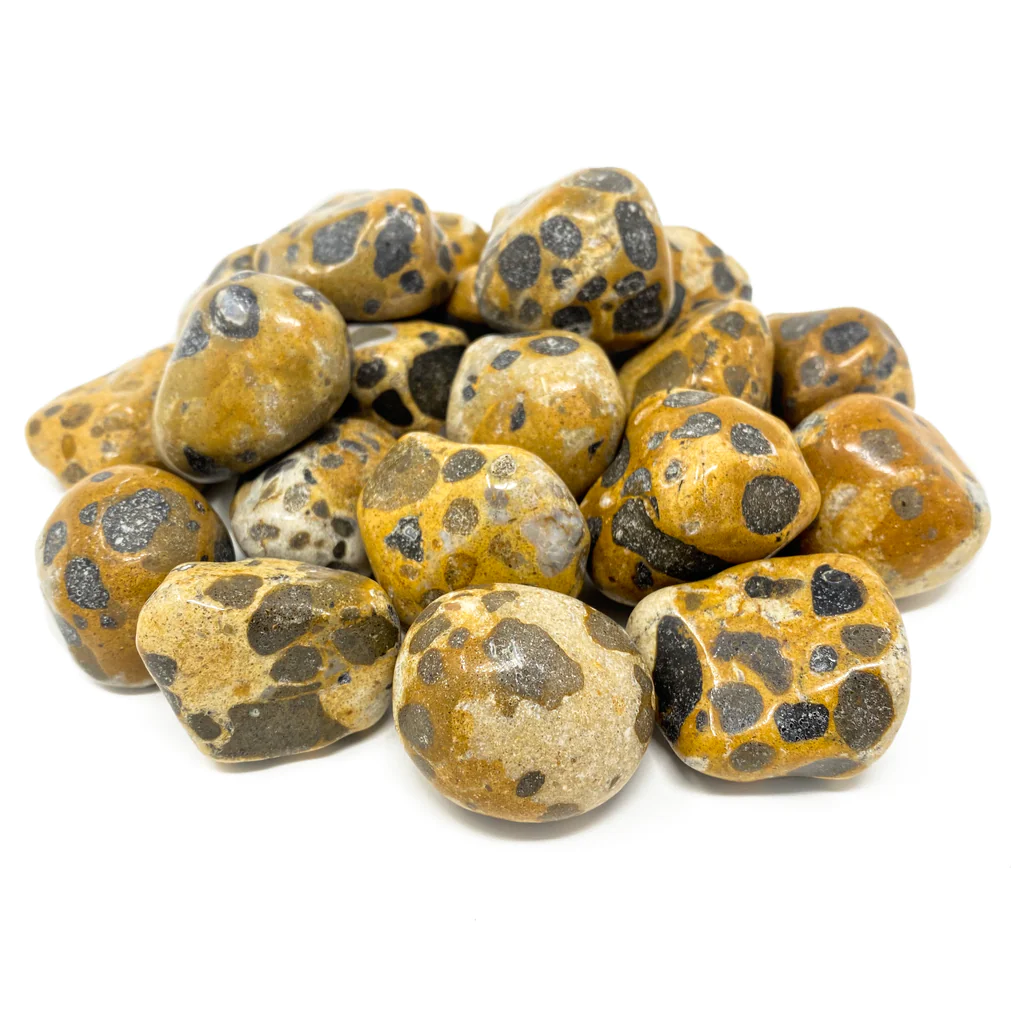 Leopard Skin Jasper : Properties, Formation, Locations » Geology Science