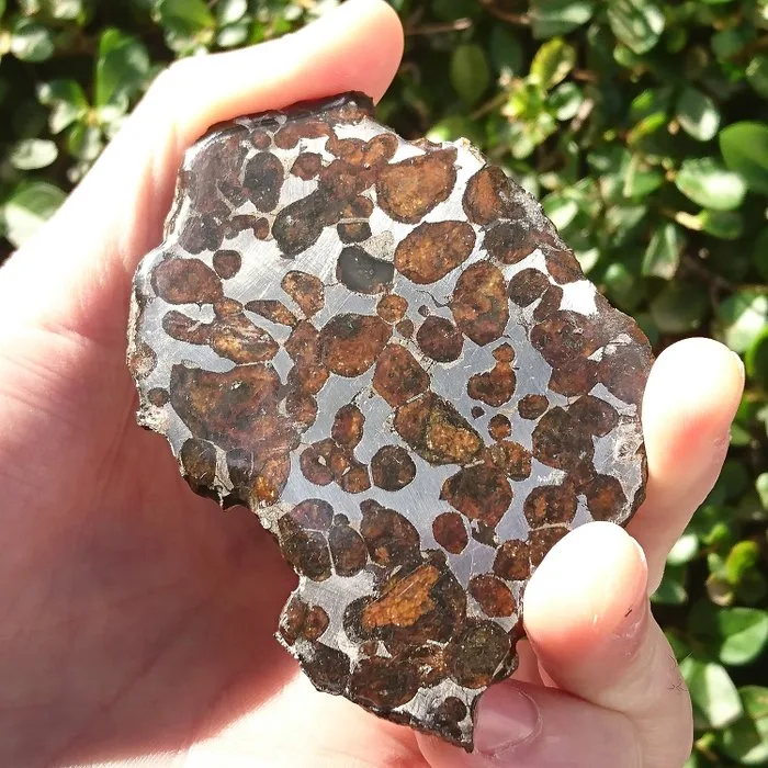 The Sericho Pallasite Meteorite : Properties, Compositions » Geology ...