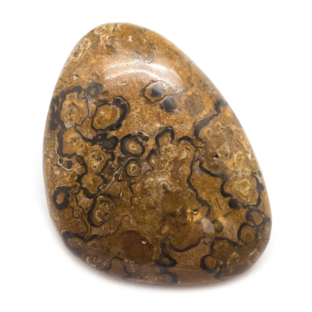 Stromatolithen Eigenschaften Entstehung Fundorte Geologie