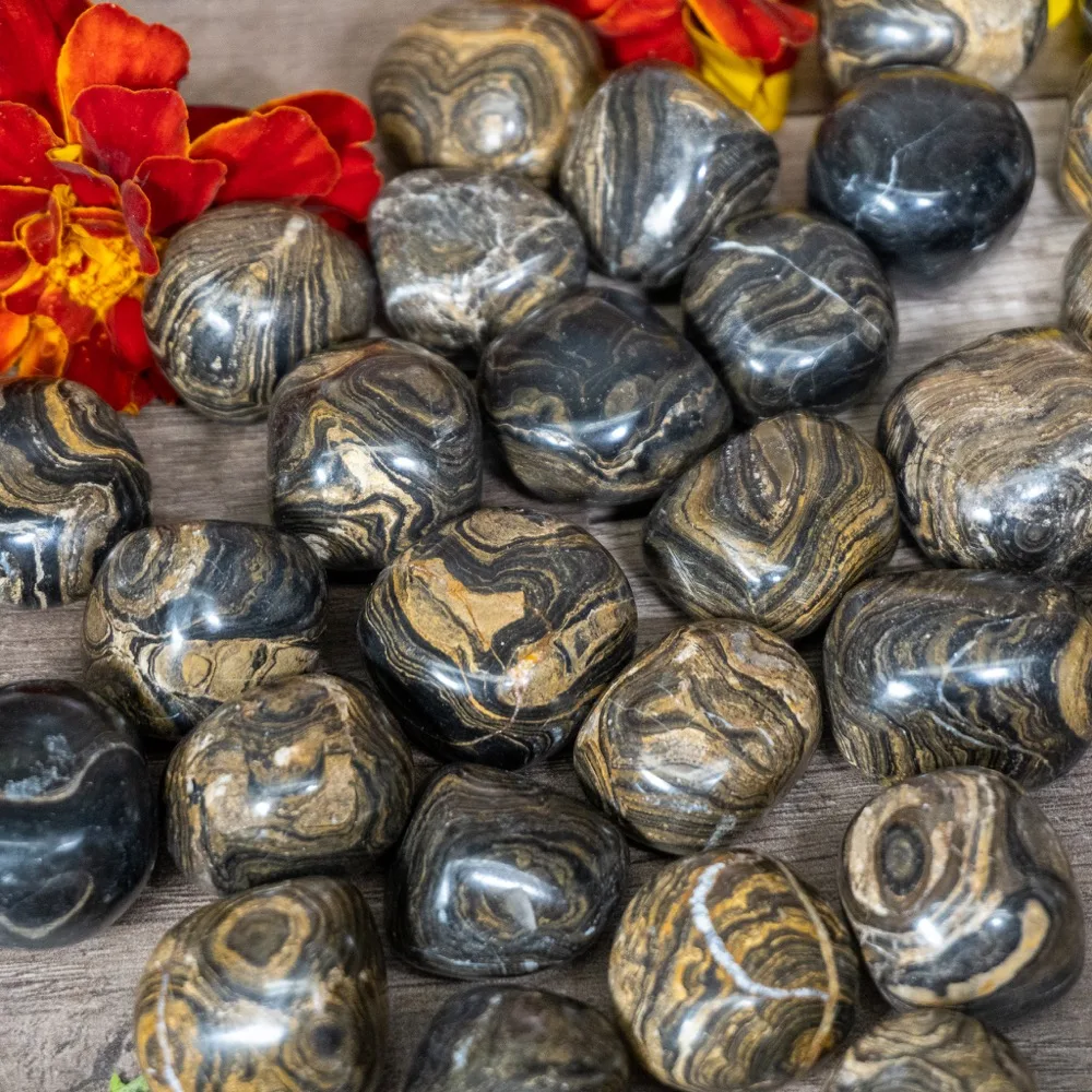 Stromatolites Stones: Properties, Formation, Locations » Geology Science