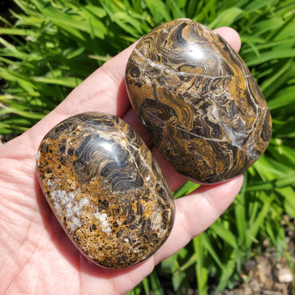 Stromatolites Stones: Properties, Formation, Locations » Geology Science