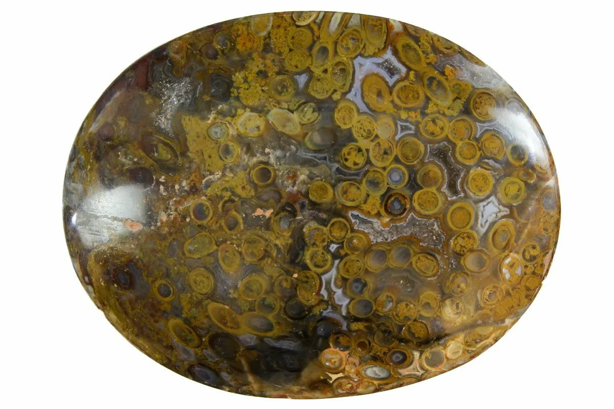 Palm Root Stone : Properties, Formation, Uses, Locations - Geology Science