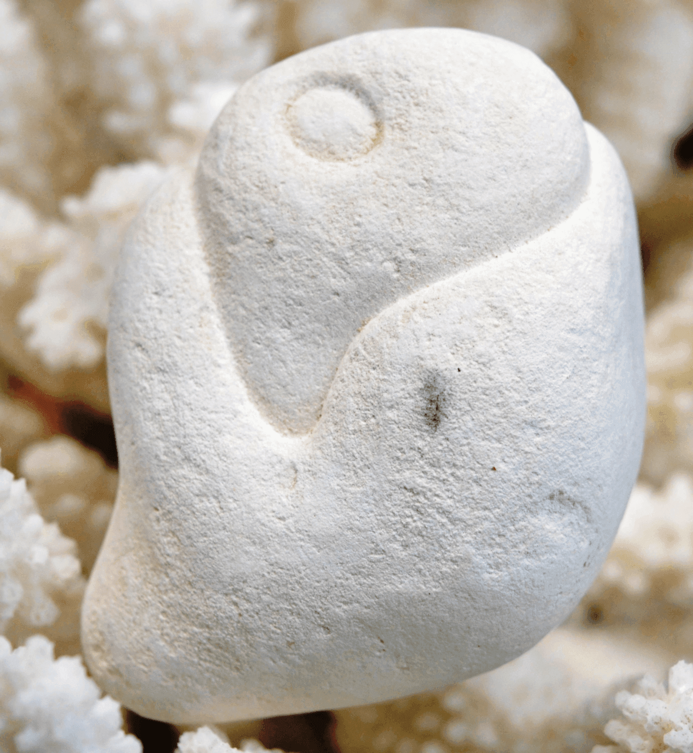 Menalite : Properties, Formation, Uses, Locations - Geology Science