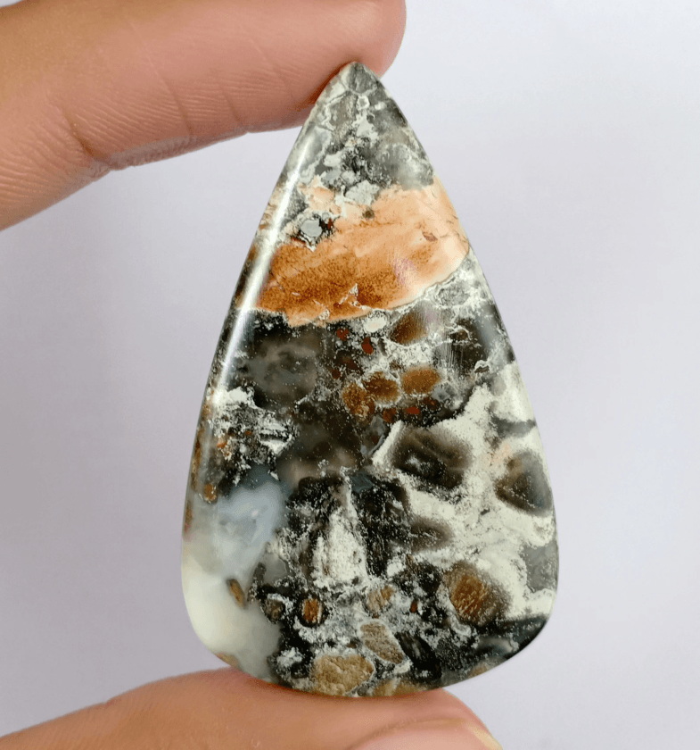 Rainbow Jasper : Properties, Formation, Uses, Locations - Geology Science