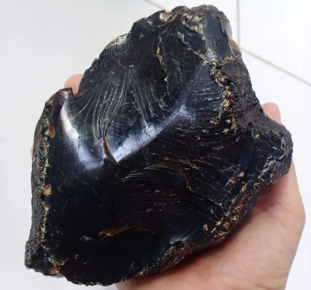 Black Amber (Jet) : Formation, Properties, Uses, Locations » Geology Science