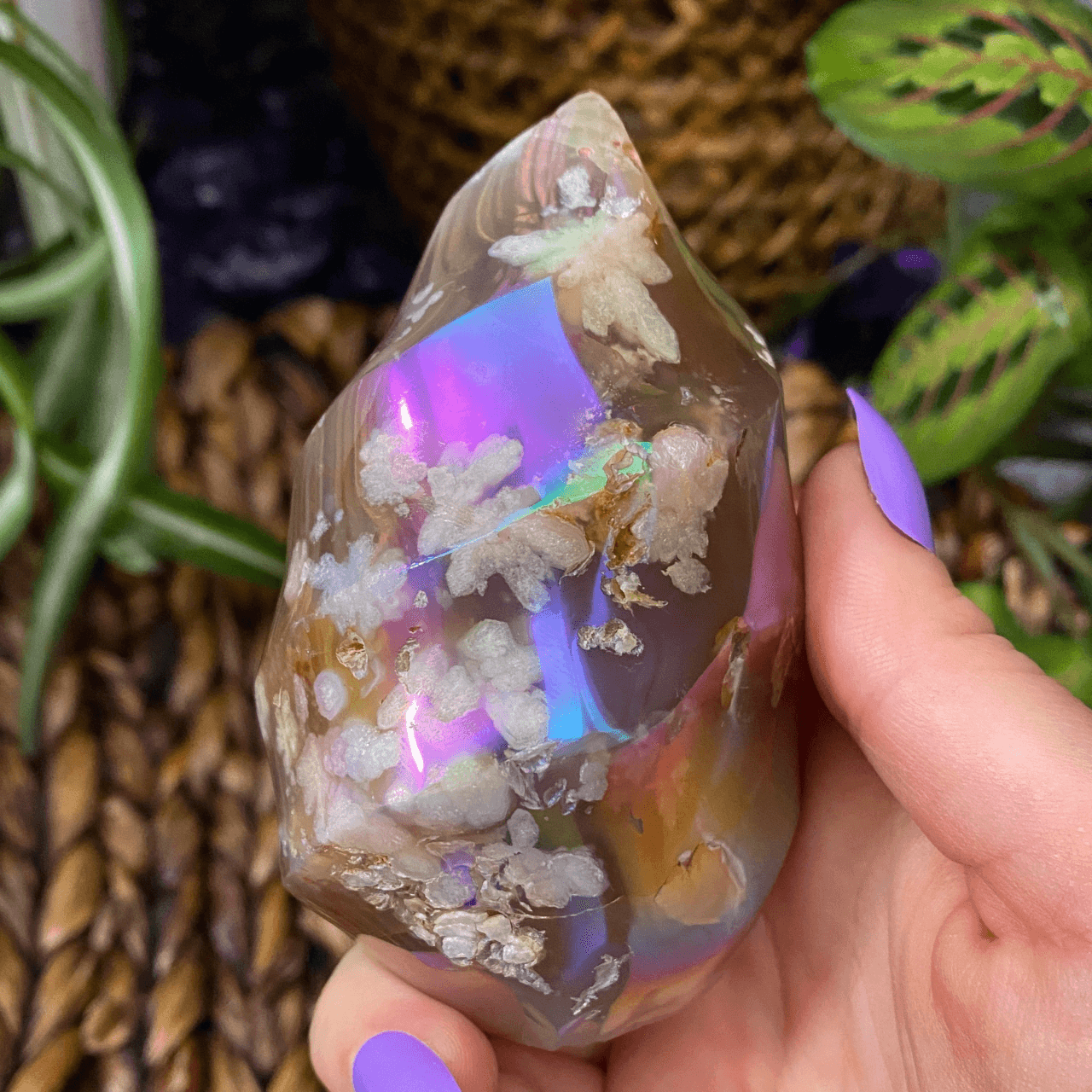 Flower Agate : Properties, Formation, Uses, Locations - Geology Science