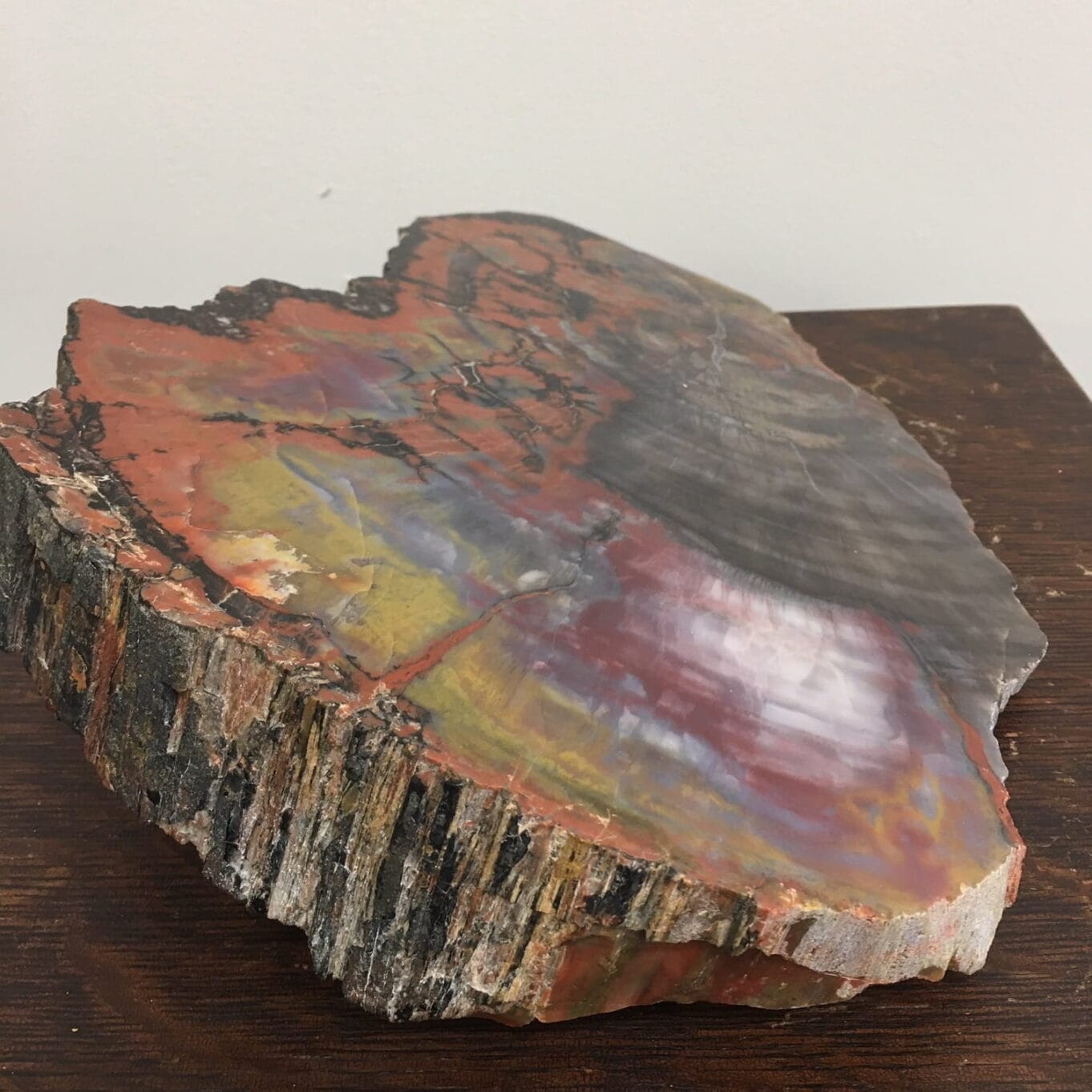 Arizona Rainbow Petrified Wood : Formation, Properties - Geology Science