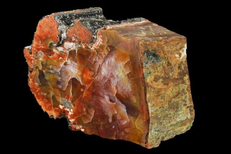 Arizona Rainbow Petrified Wood : Formation, Properties - Geology Science