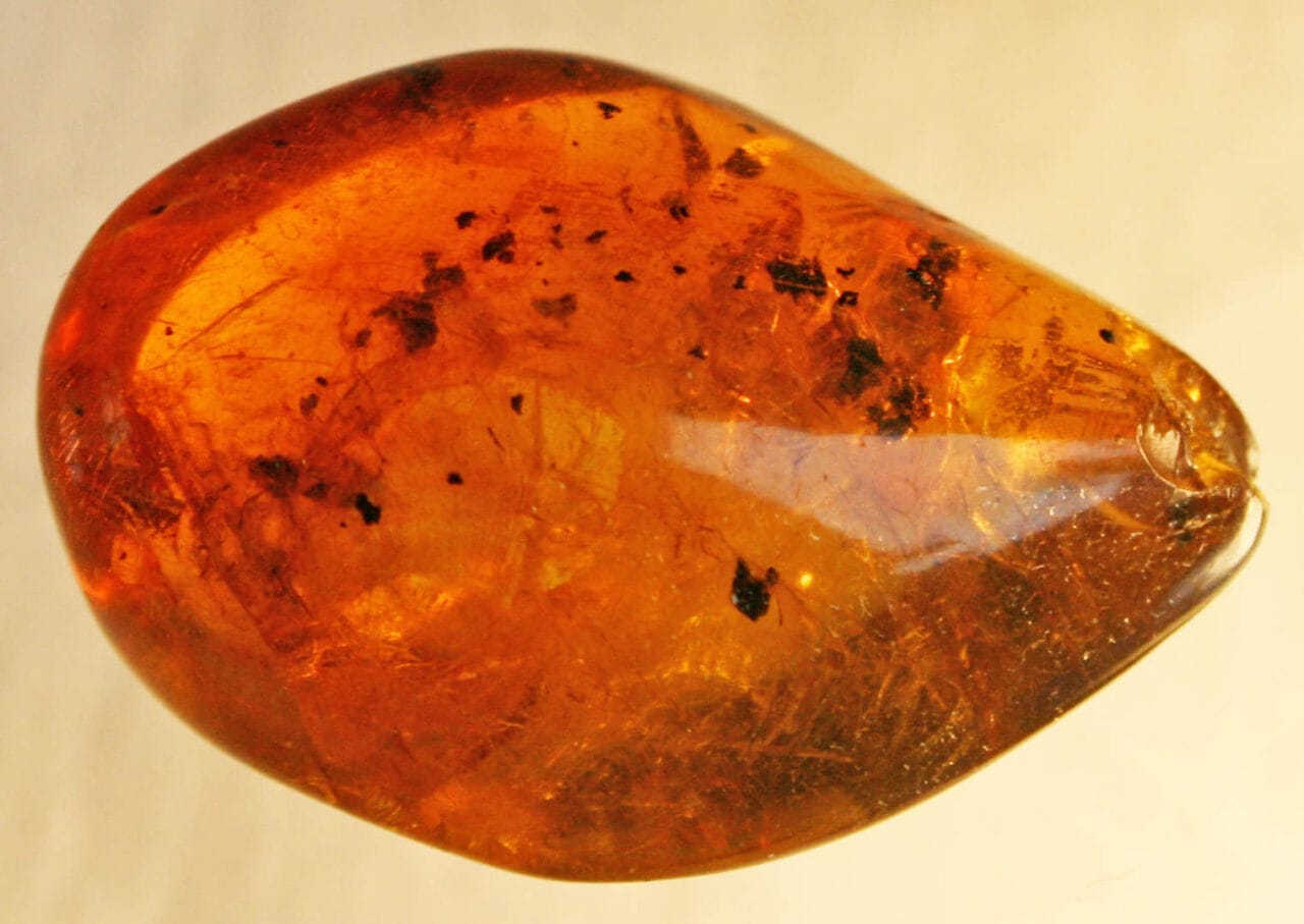 Baltic Amber: Properties, Formation, Fossilization, Uses - Geology Science