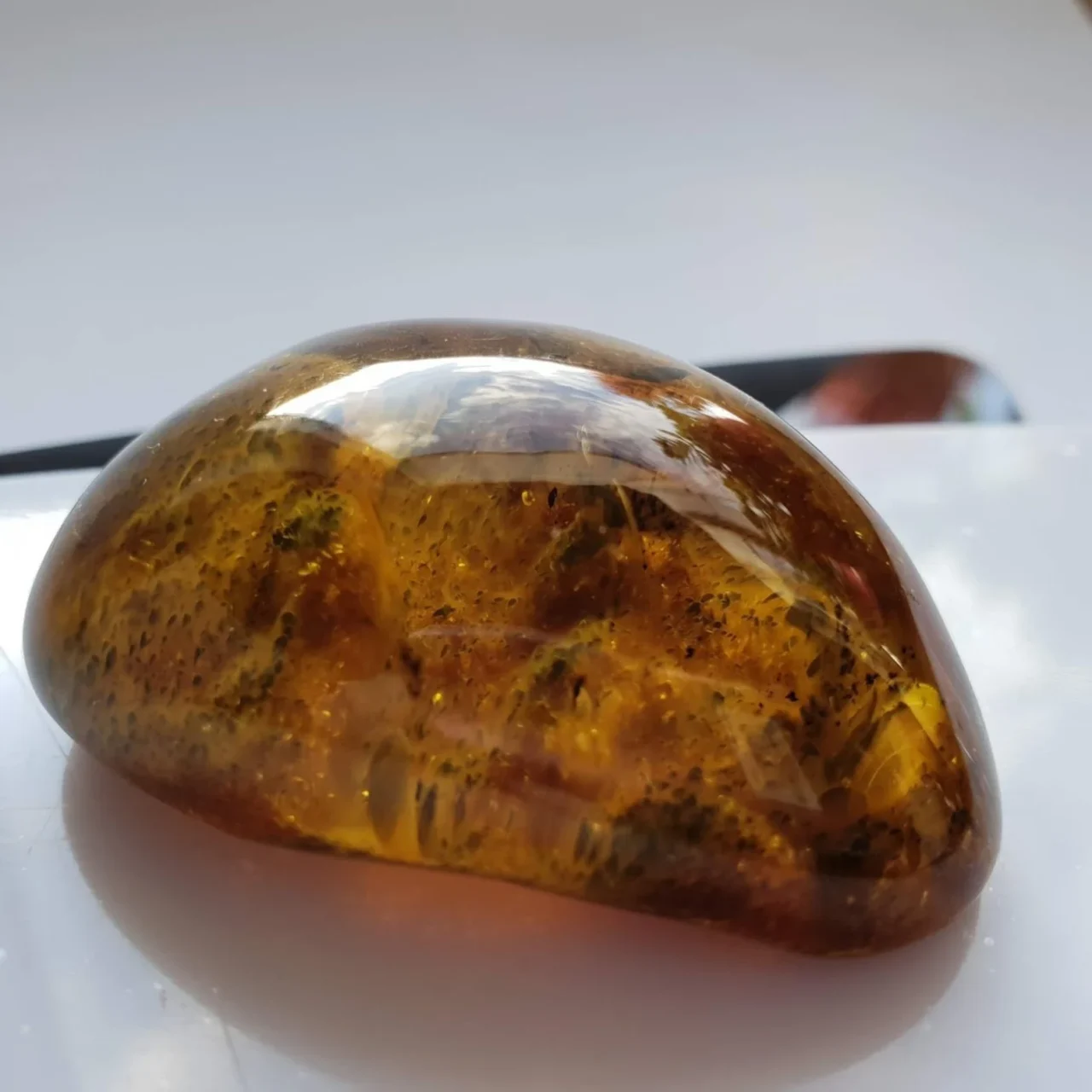 Baltic Amber: Properties, Formation, Fossilization, Uses - Geology Science