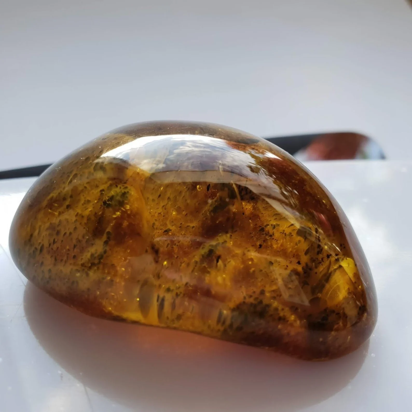 Baltic Amber: Properties, Formation, Fossilization, Uses » Geology Science