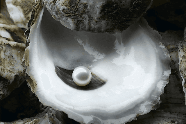 Gems of the Sea: Exploring Pearls and Coral - Geology Science