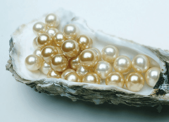 Gems of the Sea: Exploring Pearls and Coral - Geology Science