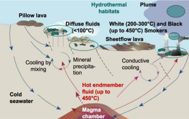 Emerald: Geological Formation and the Role of Trace Elements in Color