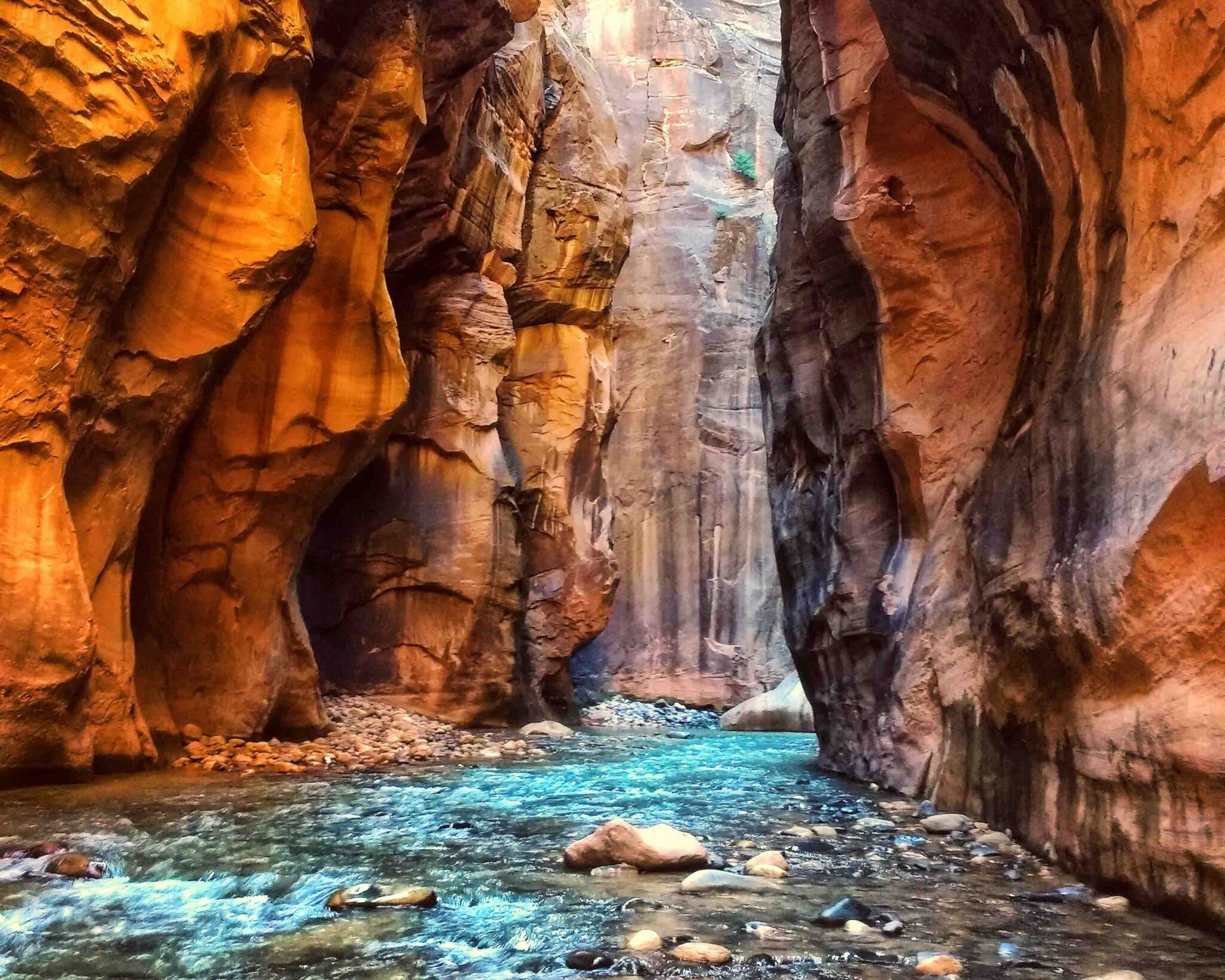 Zion Canyon, USA : Geology, Formation, Geological Features - Geology ...