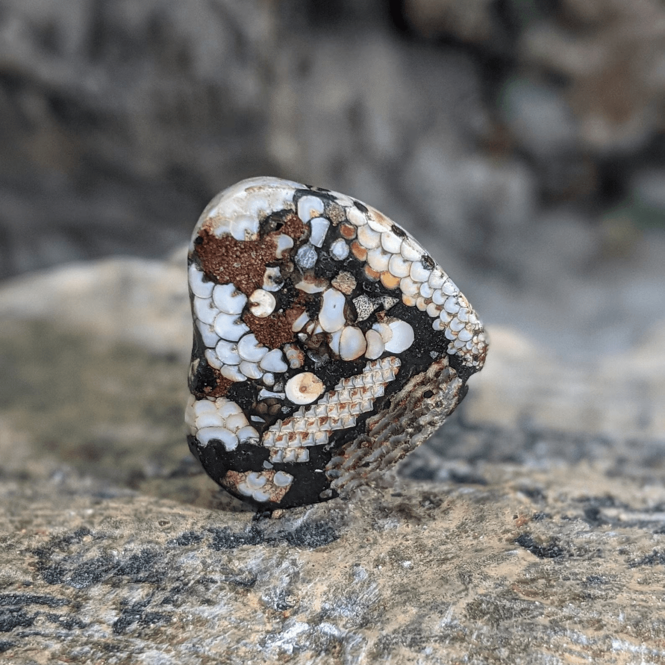 Snakeskin Agate : Properties, Formation, Localities, Uses - Geology Science
