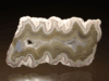 Agate | Properties, Formation, Uses, Localities » Geology Science