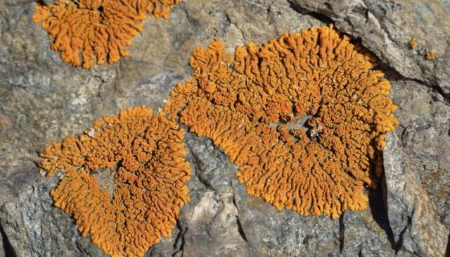 Erosion, Weathering, and Soil Formation - Geology Science