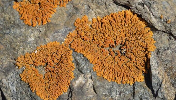 Erosion, Weathering, and Soil Formation - Geology Science