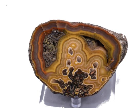 Coyamito Agate : Properties, Formation, Uses, Localities - Geology Science