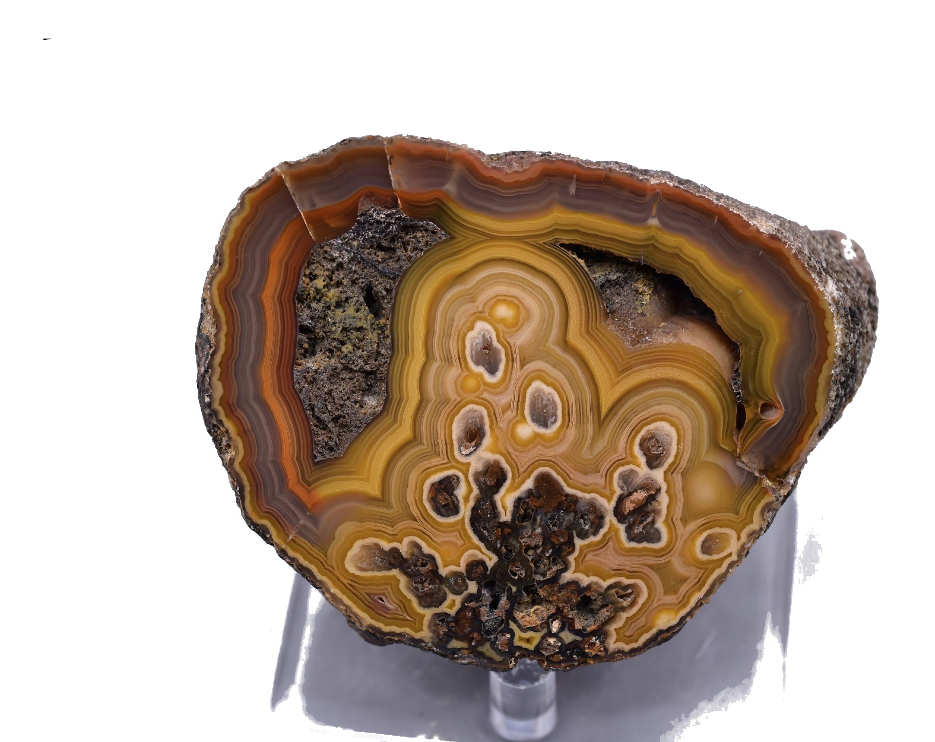 Coyamito Agate : Properties, Formation, Uses, Localities » Geology Science