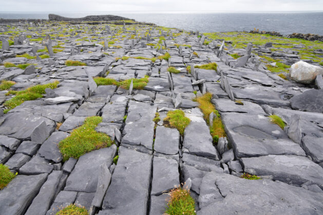 Limestone Formation and Carbonate Platforms - Geology Science