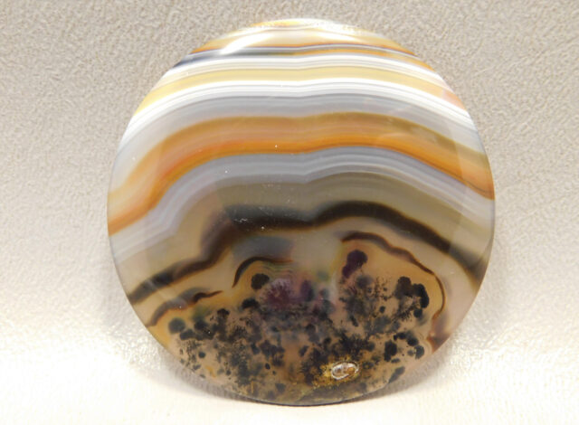 Piranha Agate: A Guide to One of the Rarest and Most Unique Agates