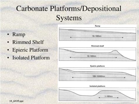 Limestone Formation and Carbonate Platforms - Geology Science