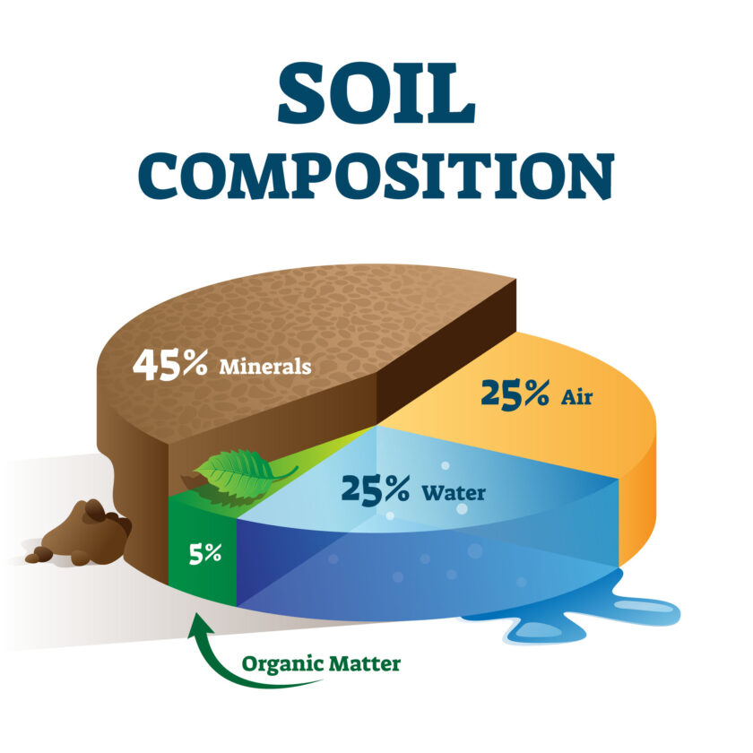 Soil Composition and Types - Geology Science